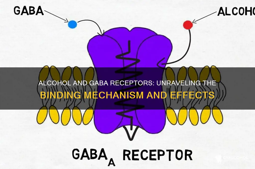 Alcohol And Gaba Receptors: Unraveling The Binding Mechanism And ...