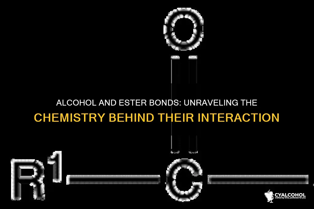 Alcohol And Ester Bonds: Unraveling The Chemistry Behind Their ...