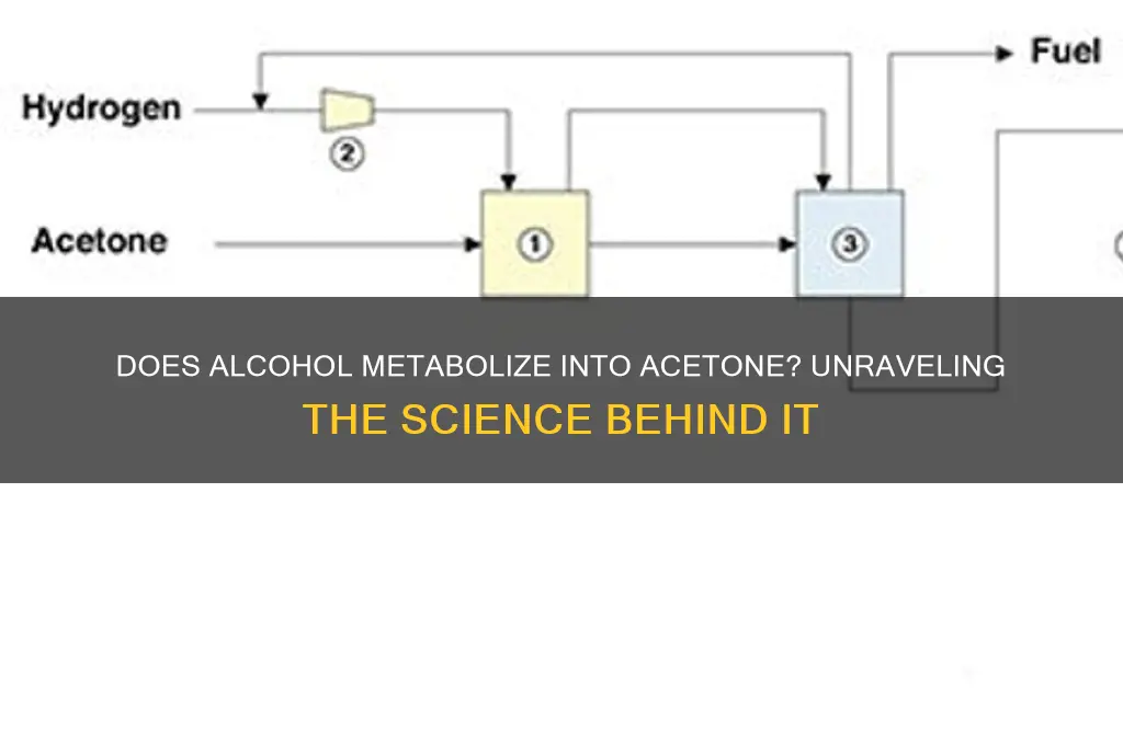 Does Alcohol Metabolize Into Acetone? Unraveling The Science Behind It ...