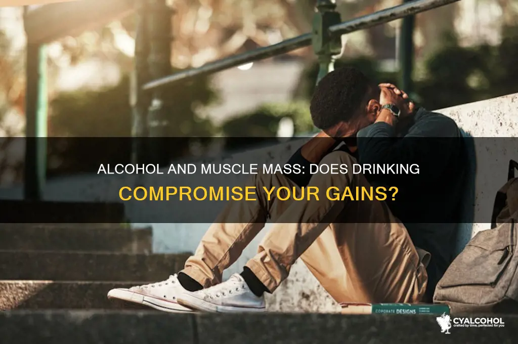 Alcohol And Muscle Mass: Does Drinking Compromise Your Gains? | CyAlcohol