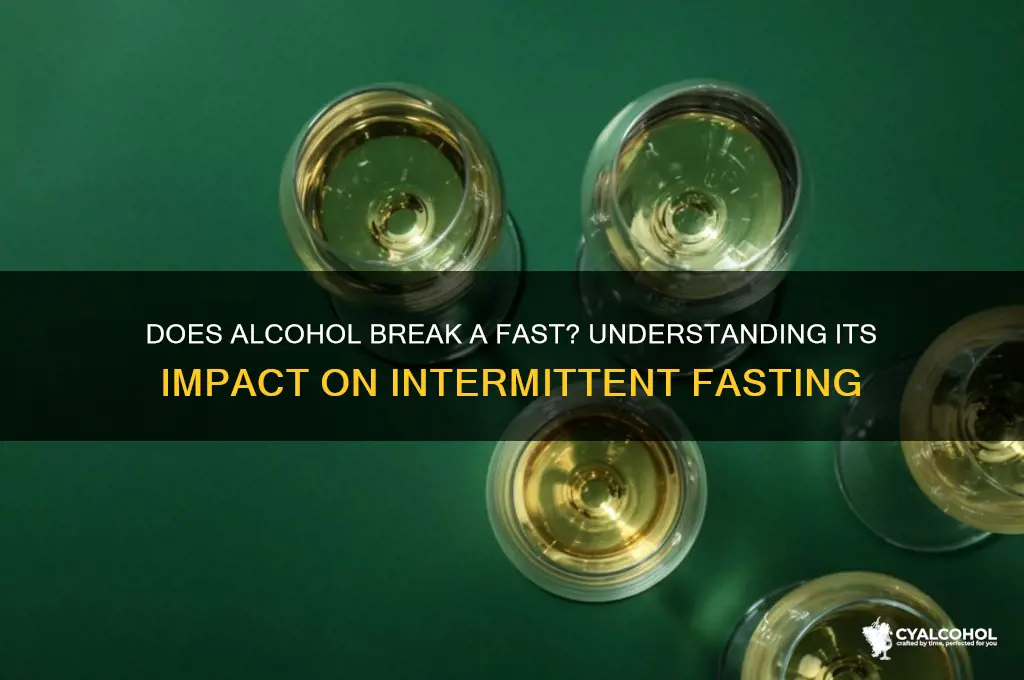 Does Alcohol Break A Fast? Understanding Its Impact On Intermittent ...
