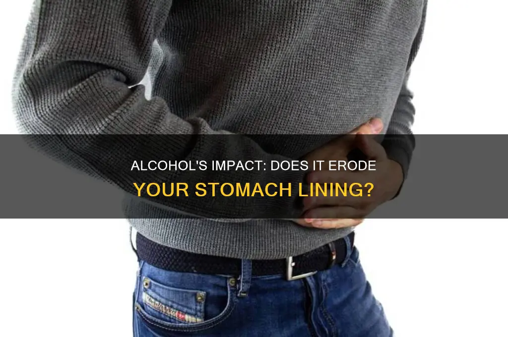 Alcohol's Impact: Does It Erode Your Stomach Lining? | CyAlcohol