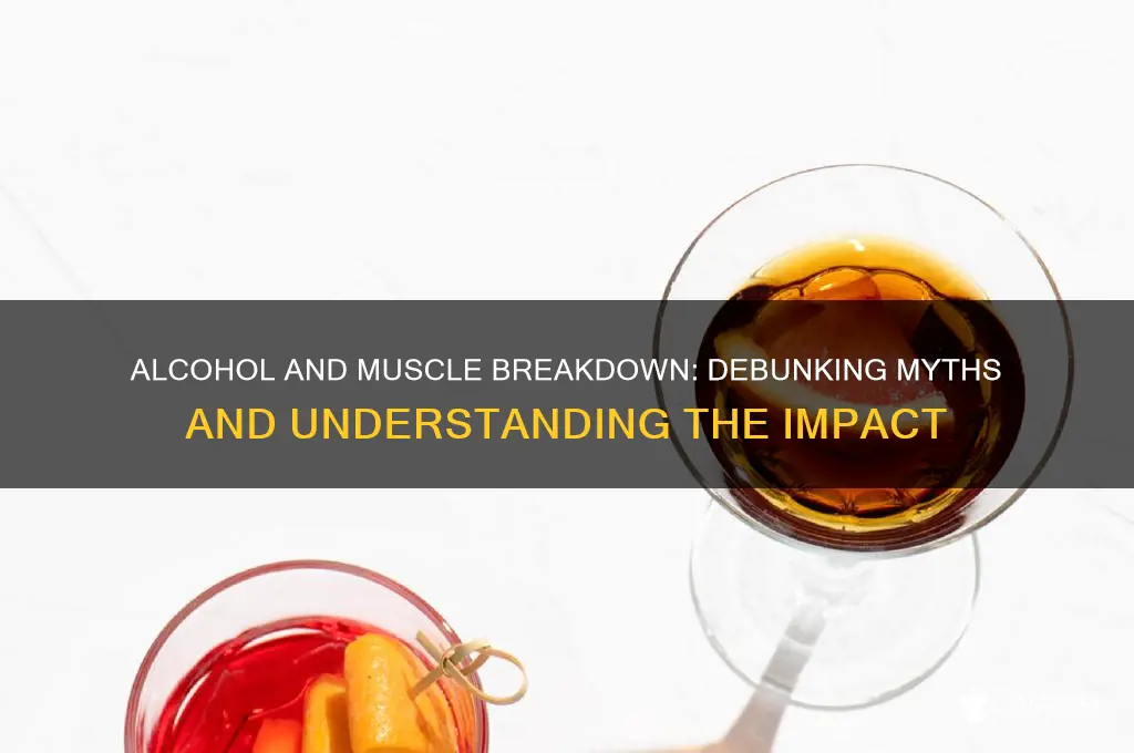 Alcohol And Muscle Breakdown: Debunking Myths And Understanding The ...
