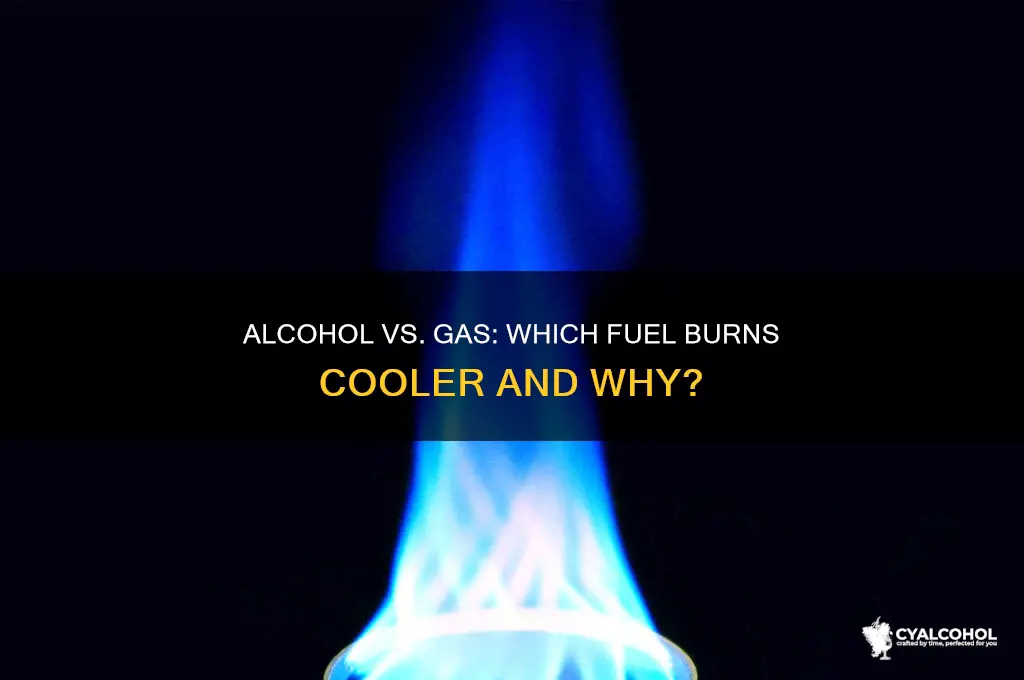 Alcohol Vs. Gas: Which Fuel Burns Cooler And Why? | CyAlcohol
