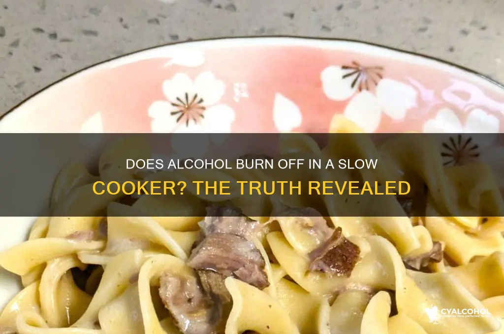 Does Alcohol Burn Off In A Slow Cooker? The Truth Revealed | CyAlcohol