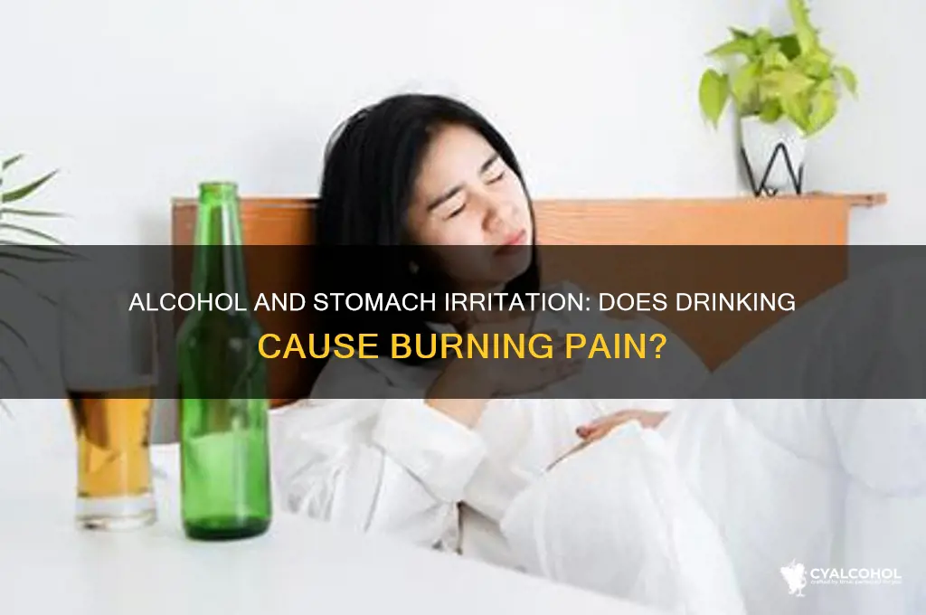 Alcohol And Stomach Irritation: Does Drinking Cause Burning Pain ...