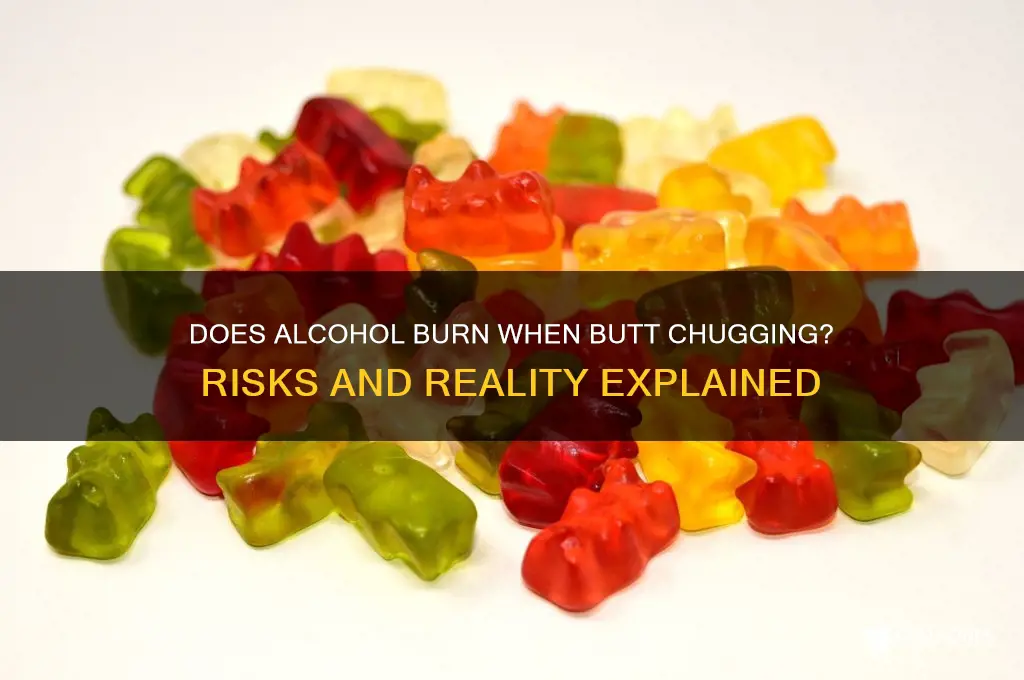 Does Alcohol Burn When Butt Chugging? Risks And Reality Explained ...