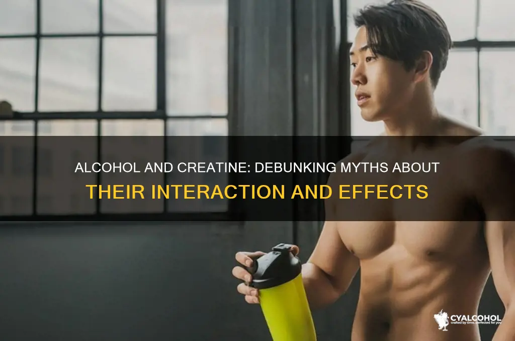 Alcohol And Creatine: Debunking Myths About Their Interaction And ...
