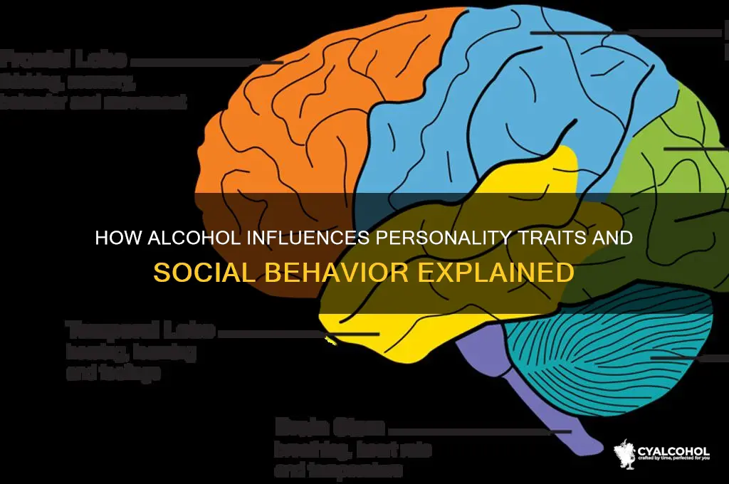 How Alcohol Influences Personality Traits And Social Behavior Explained ...
