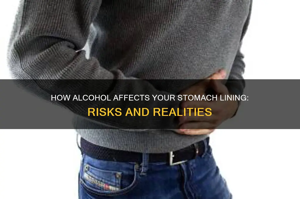 How Alcohol Affects Your Stomach Lining: Risks And Realities | CyAlcohol