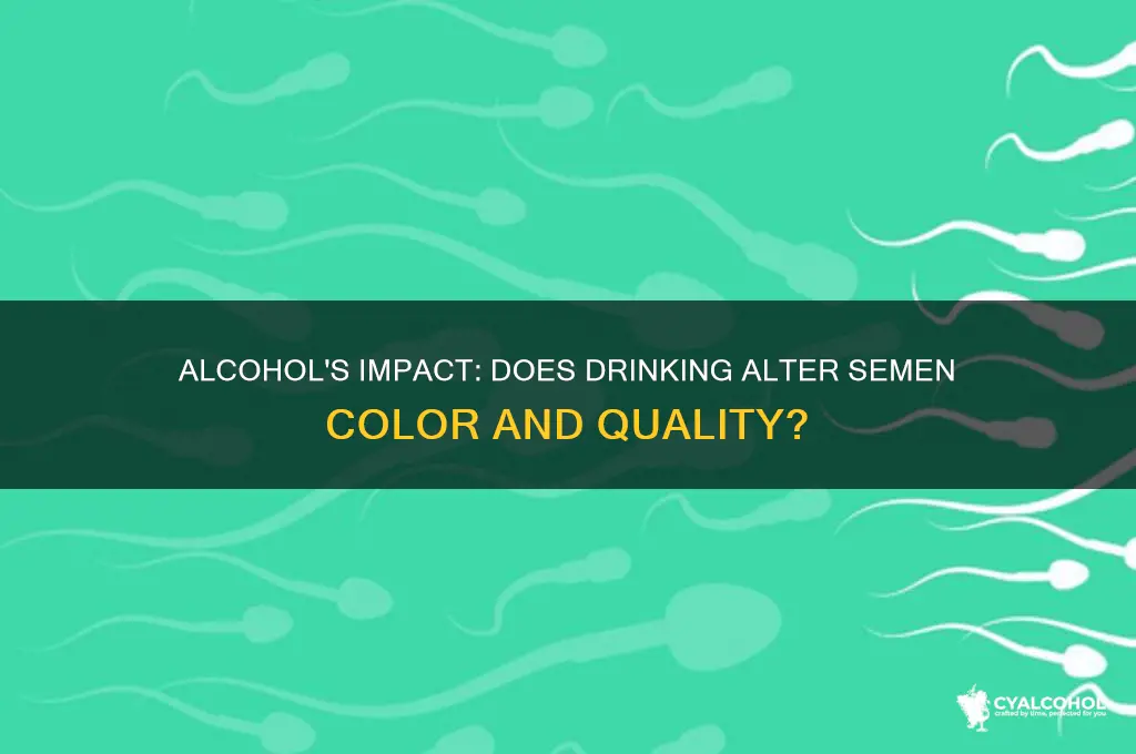 Alcohol's Impact: Does Drinking Alter Semen Color And Quality? | CyAlcohol