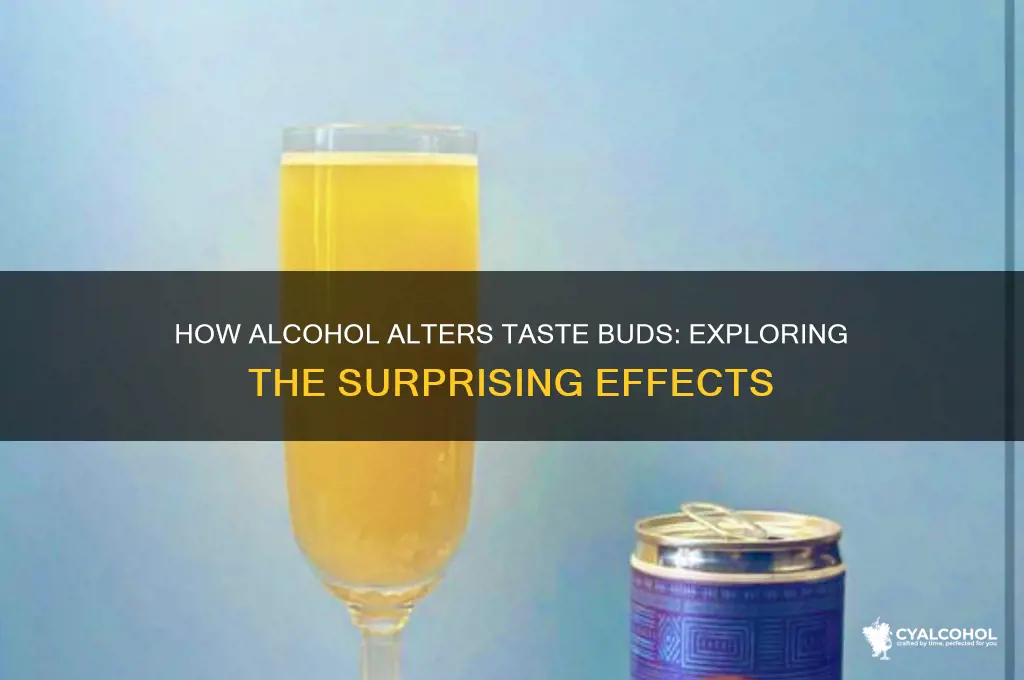 How Alcohol Alters Taste Buds: Exploring The Surprising Effects | CyAlcohol