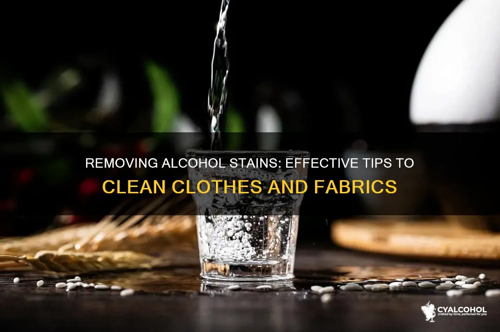 Removing Alcohol Stains: Effective Tips To Clean Clothes And Fabrics ...