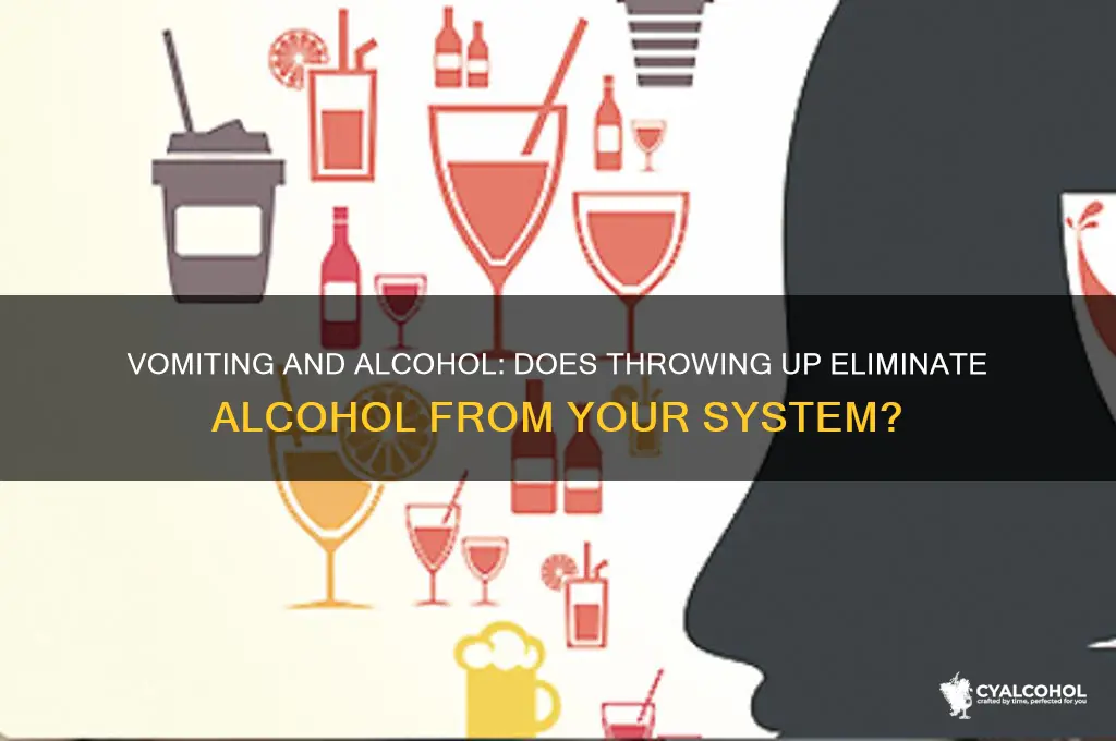 Vomiting And Alcohol: Does Throwing Up Eliminate Alcohol From Your ...