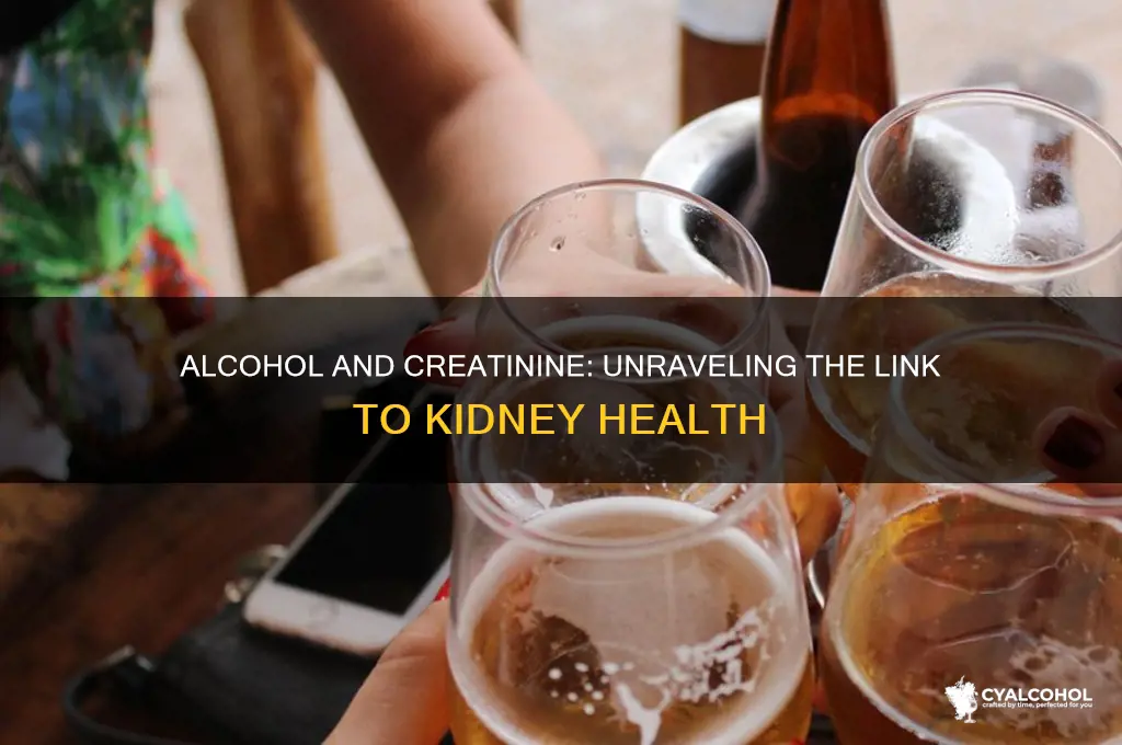 Alcohol And Creatinine: Unraveling The Link To Kidney Health | CyAlcohol