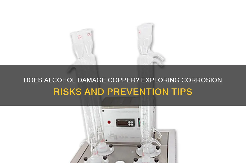 Does Alcohol Damage Copper? Exploring Corrosion Risks And Prevention ...