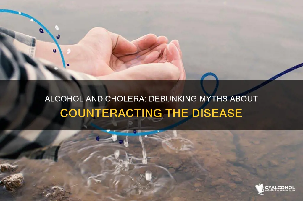 Alcohol And Cholera: Debunking Myths About Counteracting The Disease ...