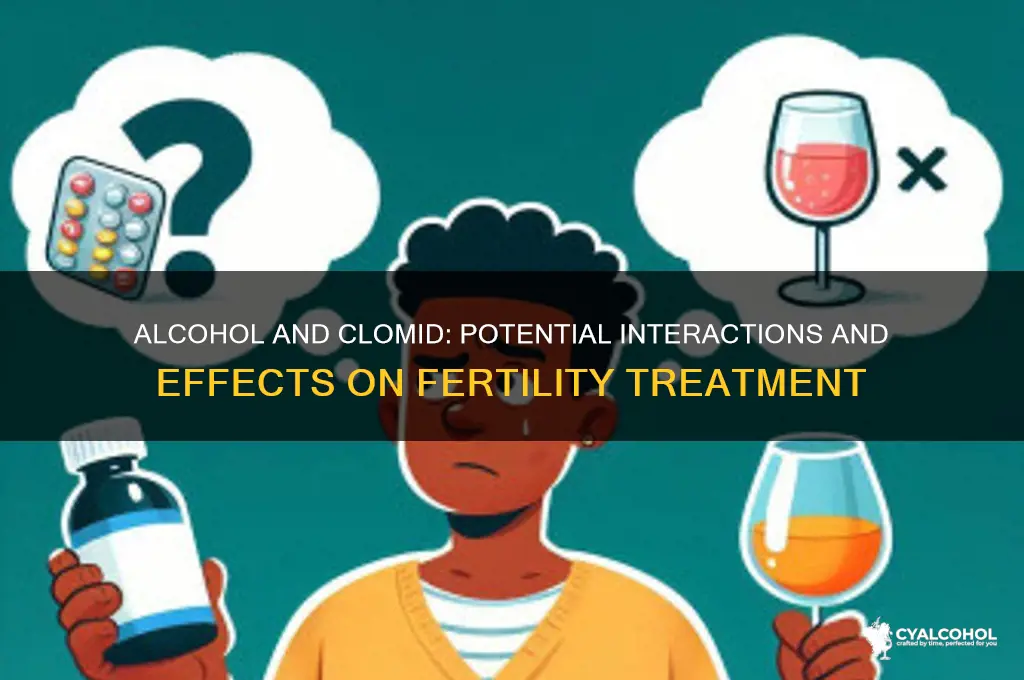 Alcohol And Clomid: Potential Interactions And Effects On Fertility ...