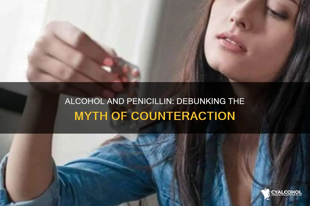 Alcohol And Penicillin: Debunking The Myth Of Counteraction | CyAlcohol