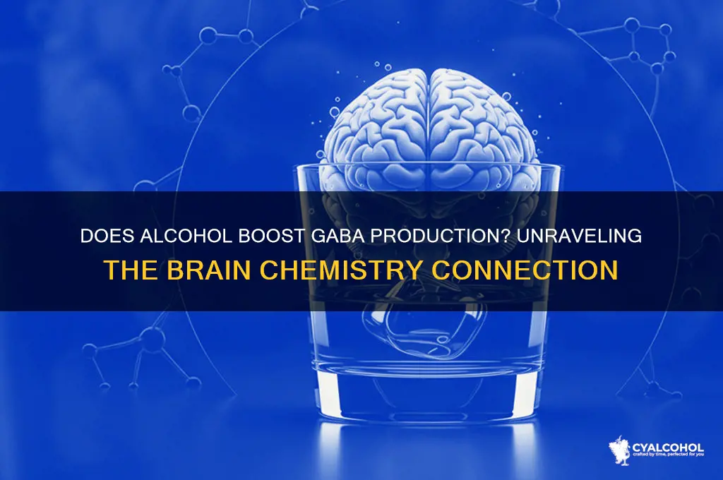 Does Alcohol Boost Gaba Production? Unraveling The Brain Chemistry ...
