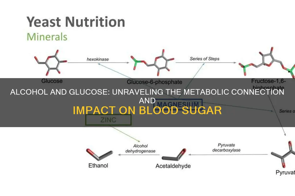 Alcohol And Glucose: Unraveling The Metabolic Connection And Impact On ...