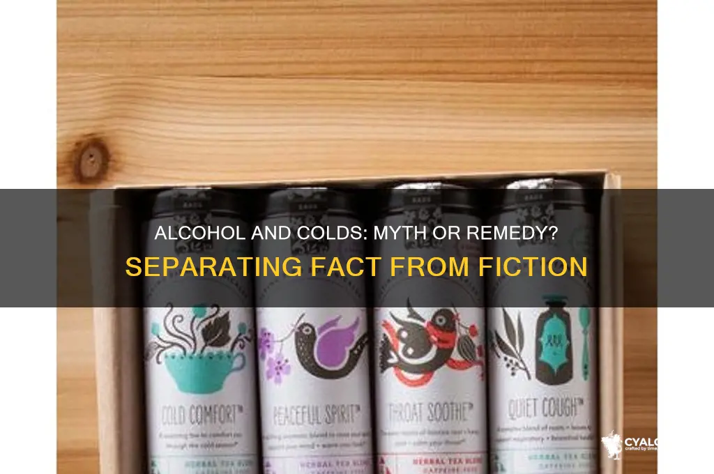 Alcohol And Colds: Myth Or Remedy? Separating Fact From Fiction | CyAlcohol