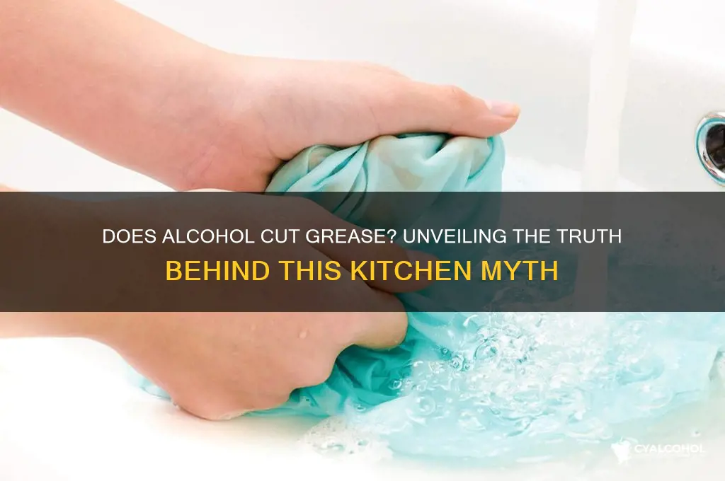 Does Alcohol Cut Grease? Unveiling The Truth Behind This Kitchen Myth ...