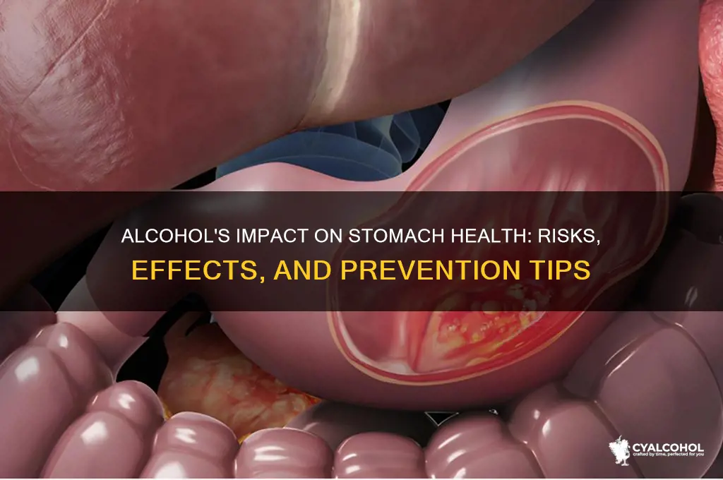 Alcohol's Impact On Stomach Health: Risks, Effects, And Prevention Tips ...