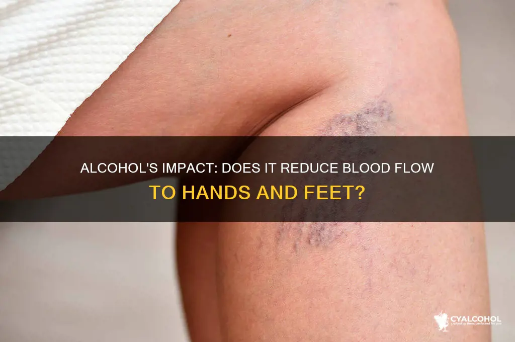 Alcohol's Impact: Does It Reduce Blood Flow To Hands And Feet? | CyAlcohol