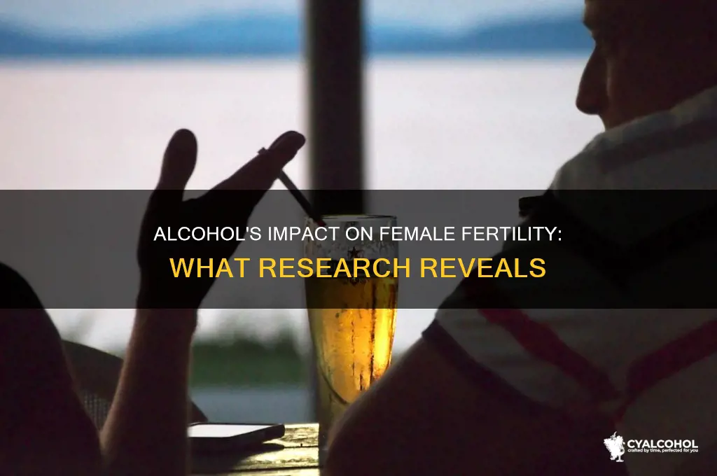 Alcohol's Impact On Female Fertility: What Research Reveals | CyAlcohol