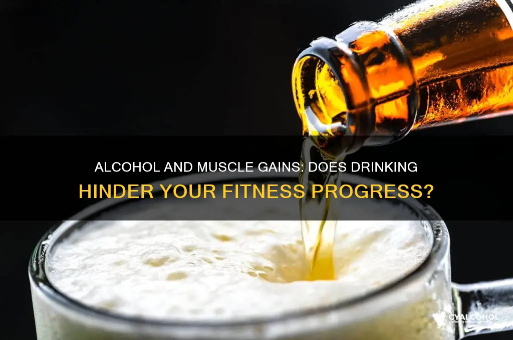 Alcohol And Muscle Gains: Does Drinking Hinder Your Fitness Progress ...