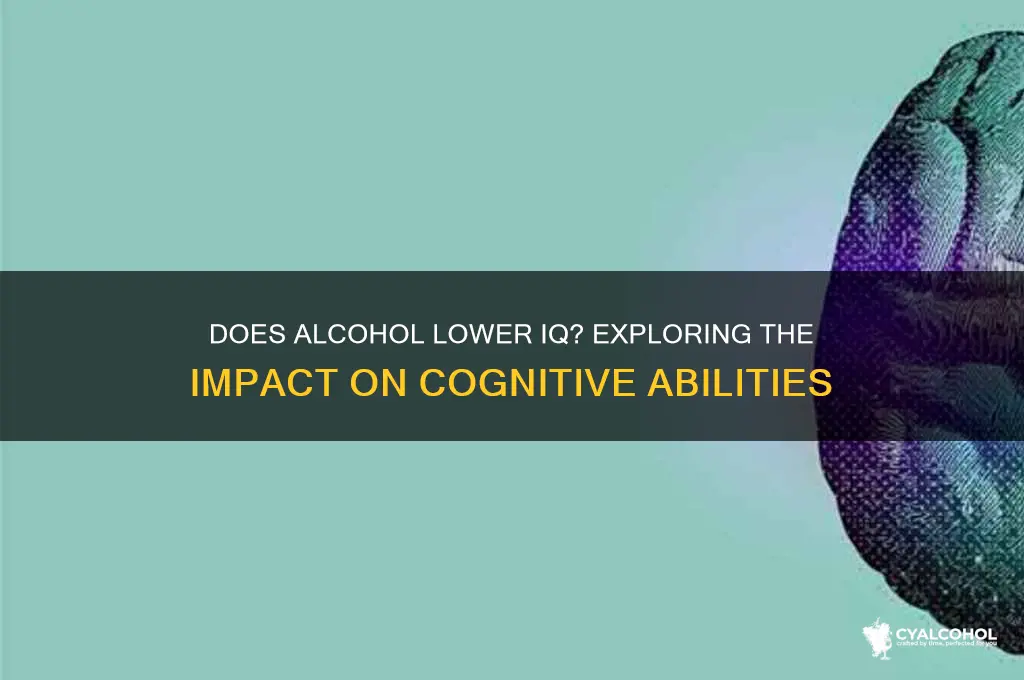 Does Alcohol Lower Iq? Exploring The Impact On Cognitive Abilities ...
