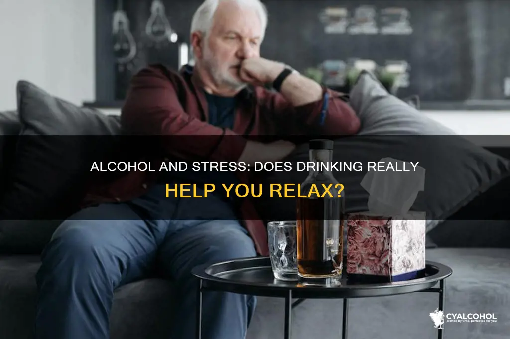 Alcohol And Stress: Does Drinking Really Help You Relax? | CyAlcohol