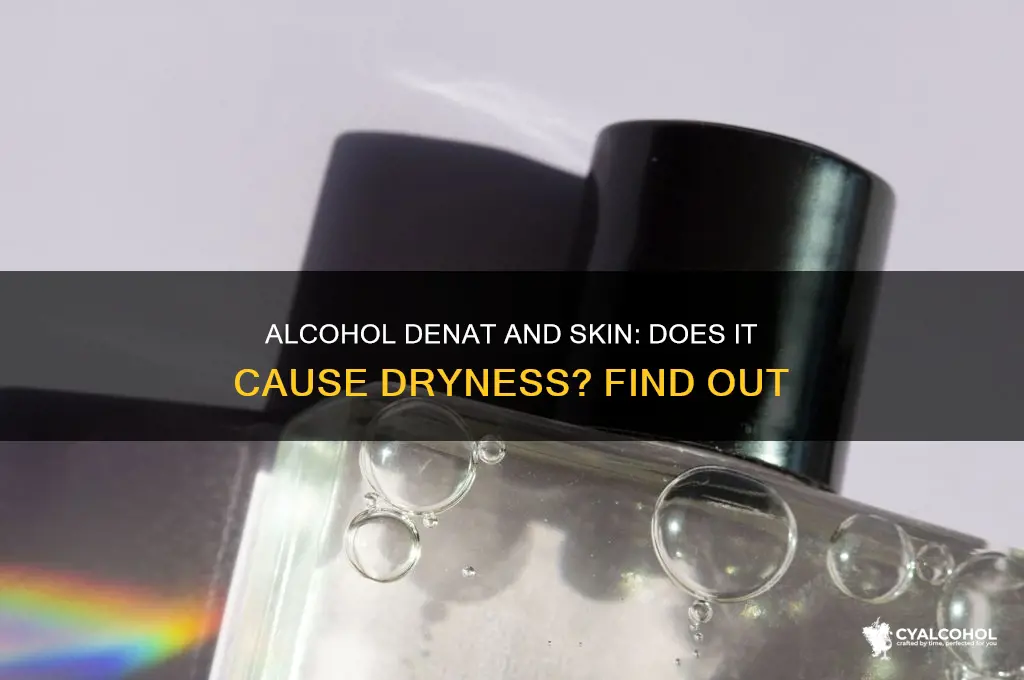 Alcohol Denat And Skin: Does It Cause Dryness? Find Out | CyAlcohol