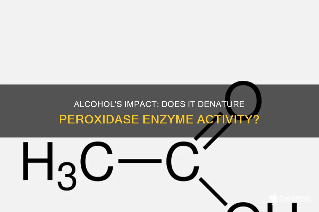 Alcohol's Impact: Does It Denature Peroxidase Enzyme Activity? | CyAlcohol