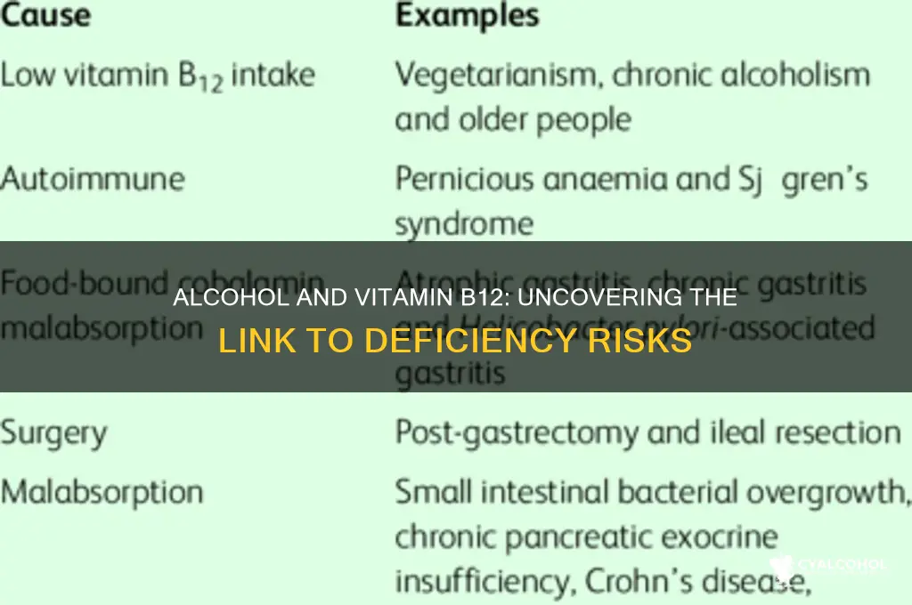 Alcohol And Vitamin B12: Uncovering The Link To Deficiency Risks ...