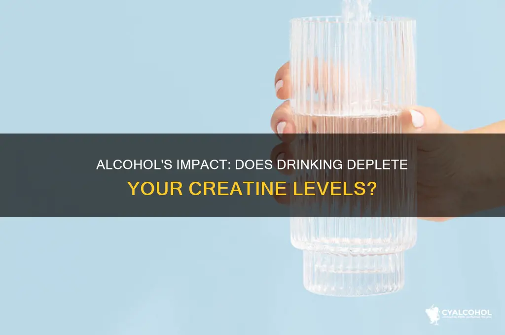 Alcohol's Impact: Does Drinking Deplete Your Creatine Levels? | CyAlcohol