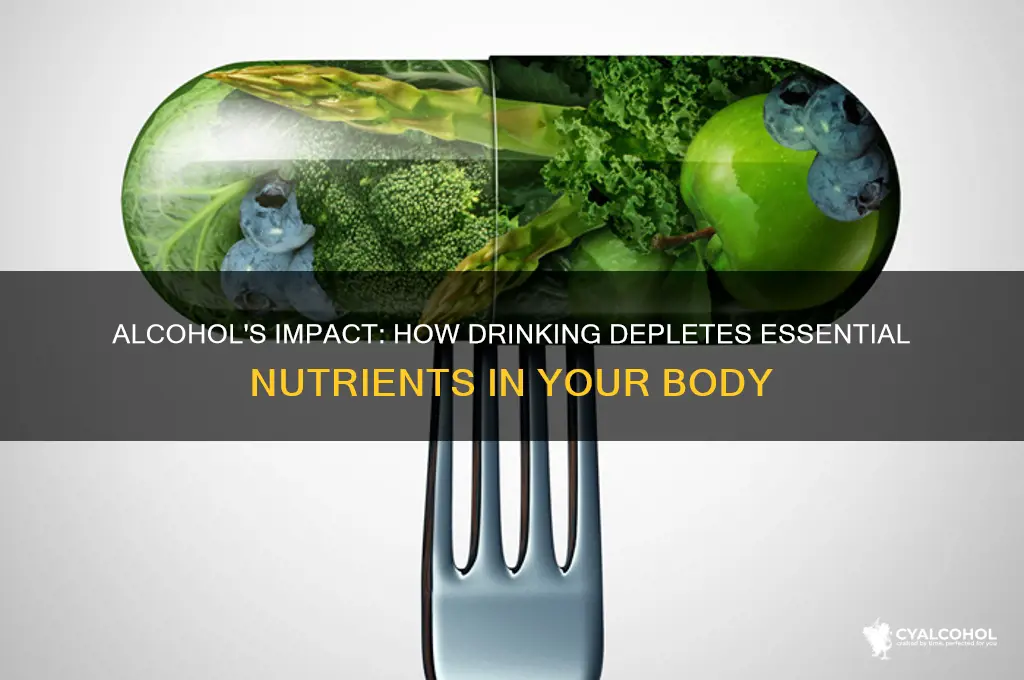 Alcohol's Impact: How Drinking Depletes Essential Nutrients In Your ...