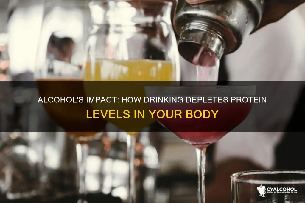 Alcohol's Impact: How Drinking Depletes Protein Levels In Your Body ...