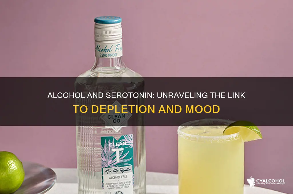 Alcohol And Serotonin: Unraveling The Link To Depletion And Mood ...