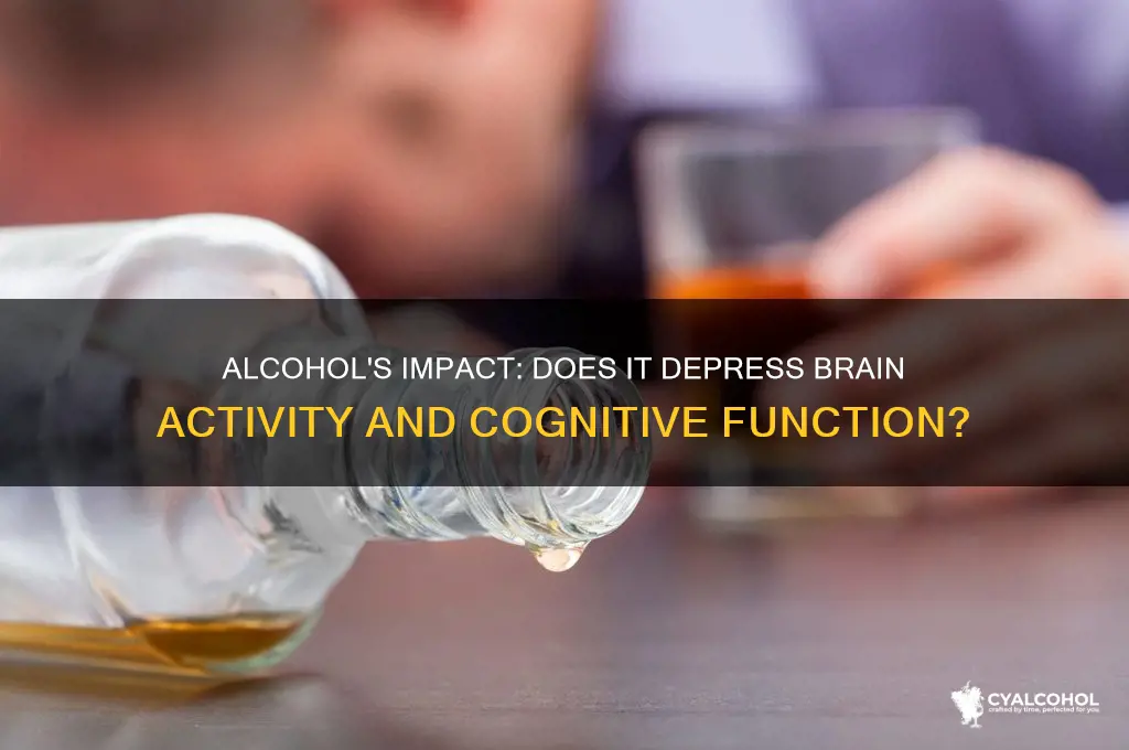 Alcohol's Impact: Does It Depress Brain Activity And Cognitive Function ...