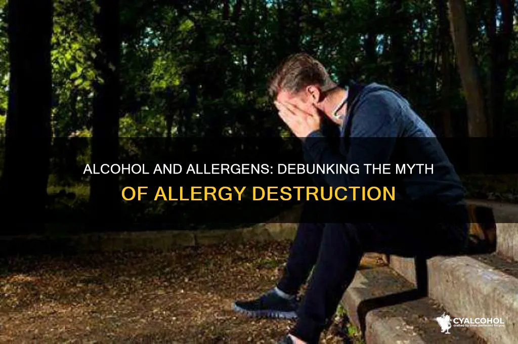 Alcohol And Allergens: Debunking The Myth Of Allergy Destruction ...