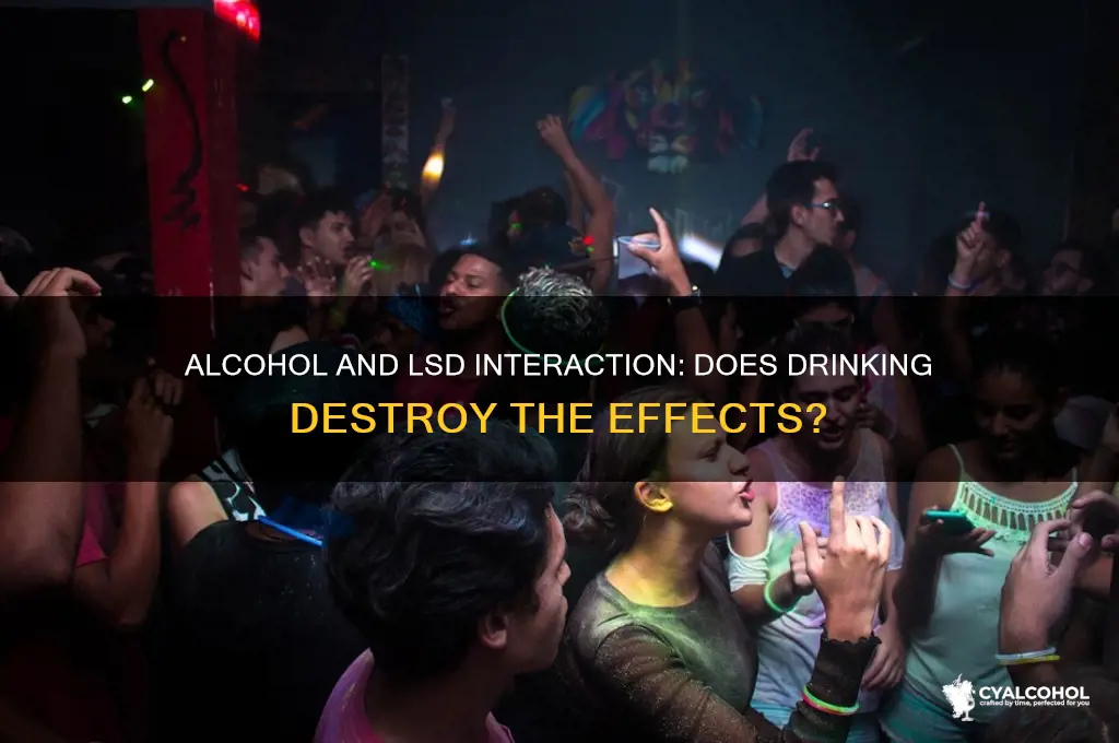 Alcohol And Lsd Interaction: Does Drinking Destroy The Effects? | CyAlcohol