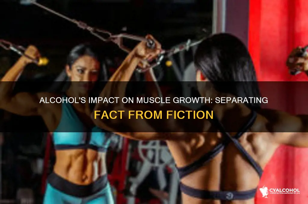 Alcohol's Impact On Muscle Growth: Separating Fact From Fiction | CyAlcohol