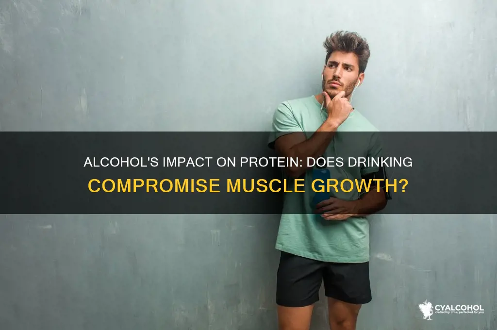 Alcohol's Impact On Protein: Does Drinking Compromise Muscle Growth ...