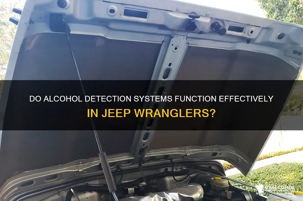 Do Alcohol Detection Systems Function Effectively In Jeep Wranglers ...