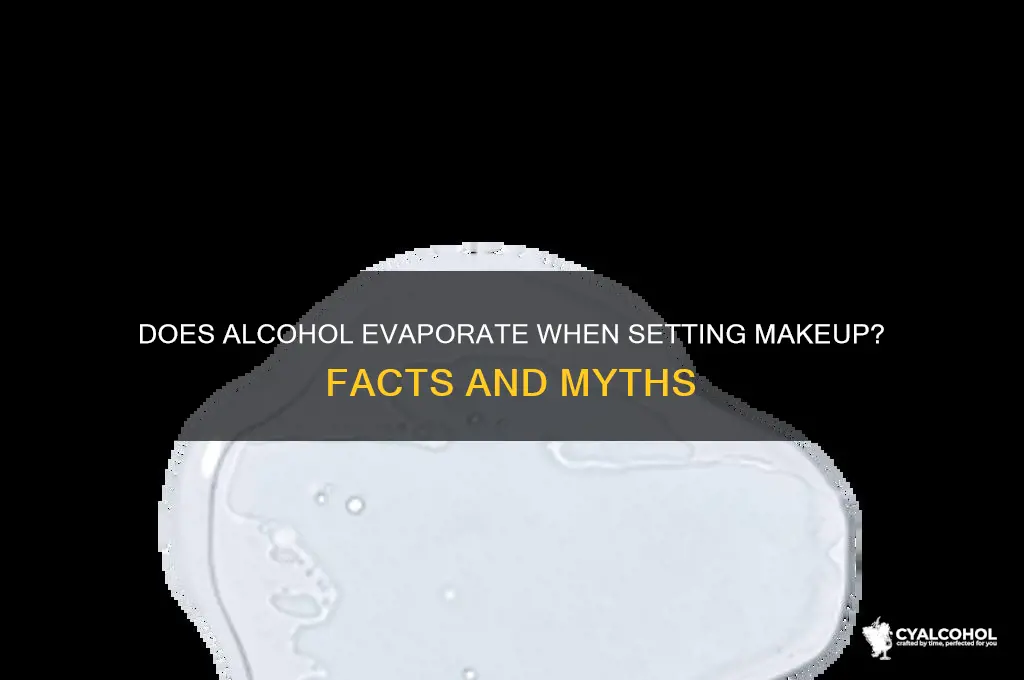 Does Alcohol Evaporate When Setting Makeup? Facts And Myths | CyAlcohol