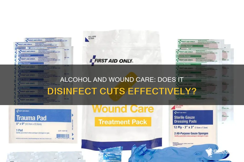 Alcohol And Wound Care: Does It Disinfect Cuts Effectively? | CyAlcohol
