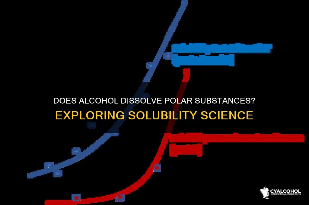 Does Alcohol Dissolve Polar Substances? Exploring Solubility Science ...