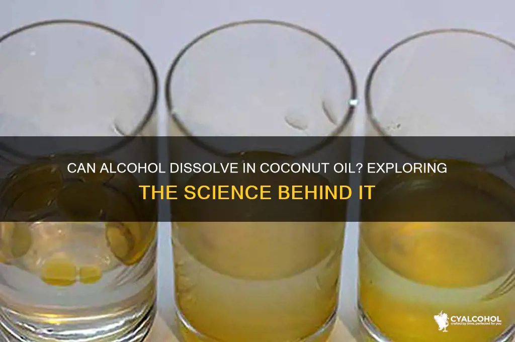 Can Alcohol Dissolve In Coconut Oil? Exploring The Science Behind It ...